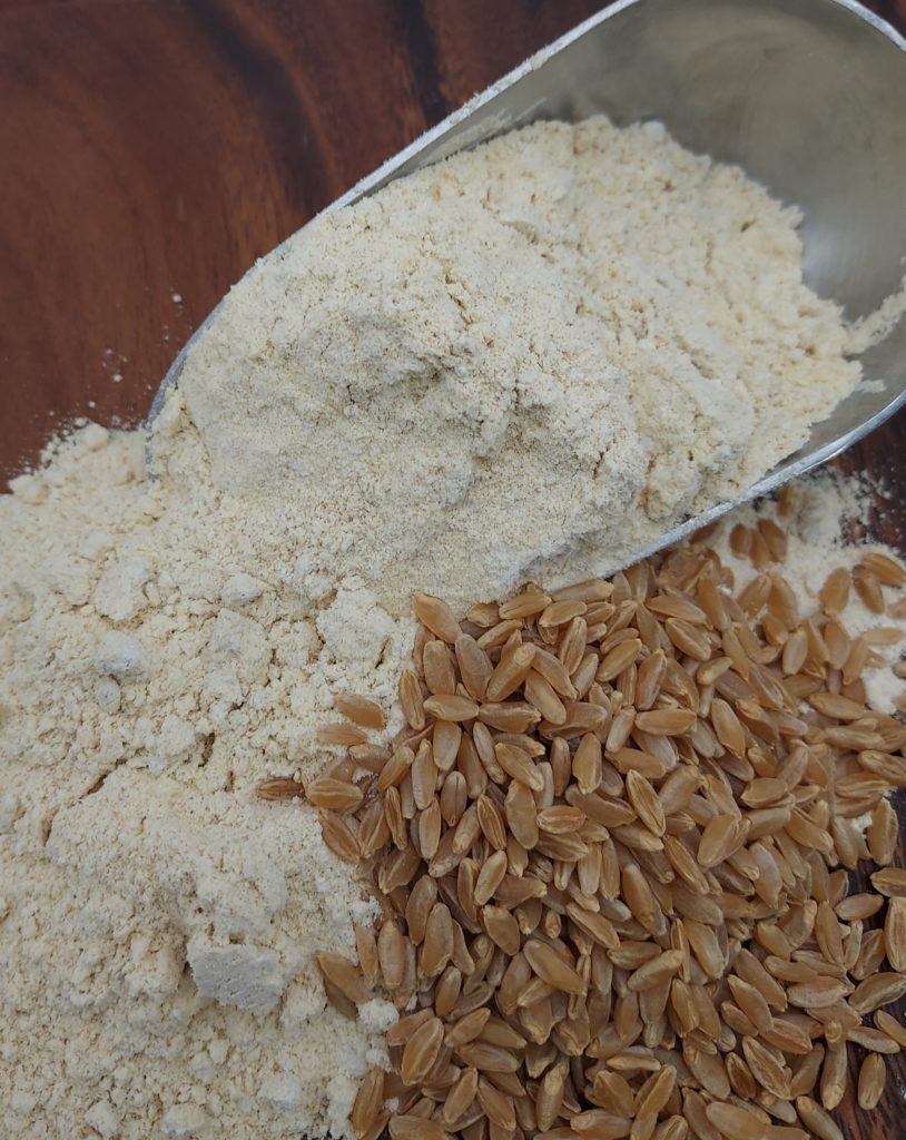 Iraqi Durum (Semolina) Wheat Flour - Early Bird Farm & Mill